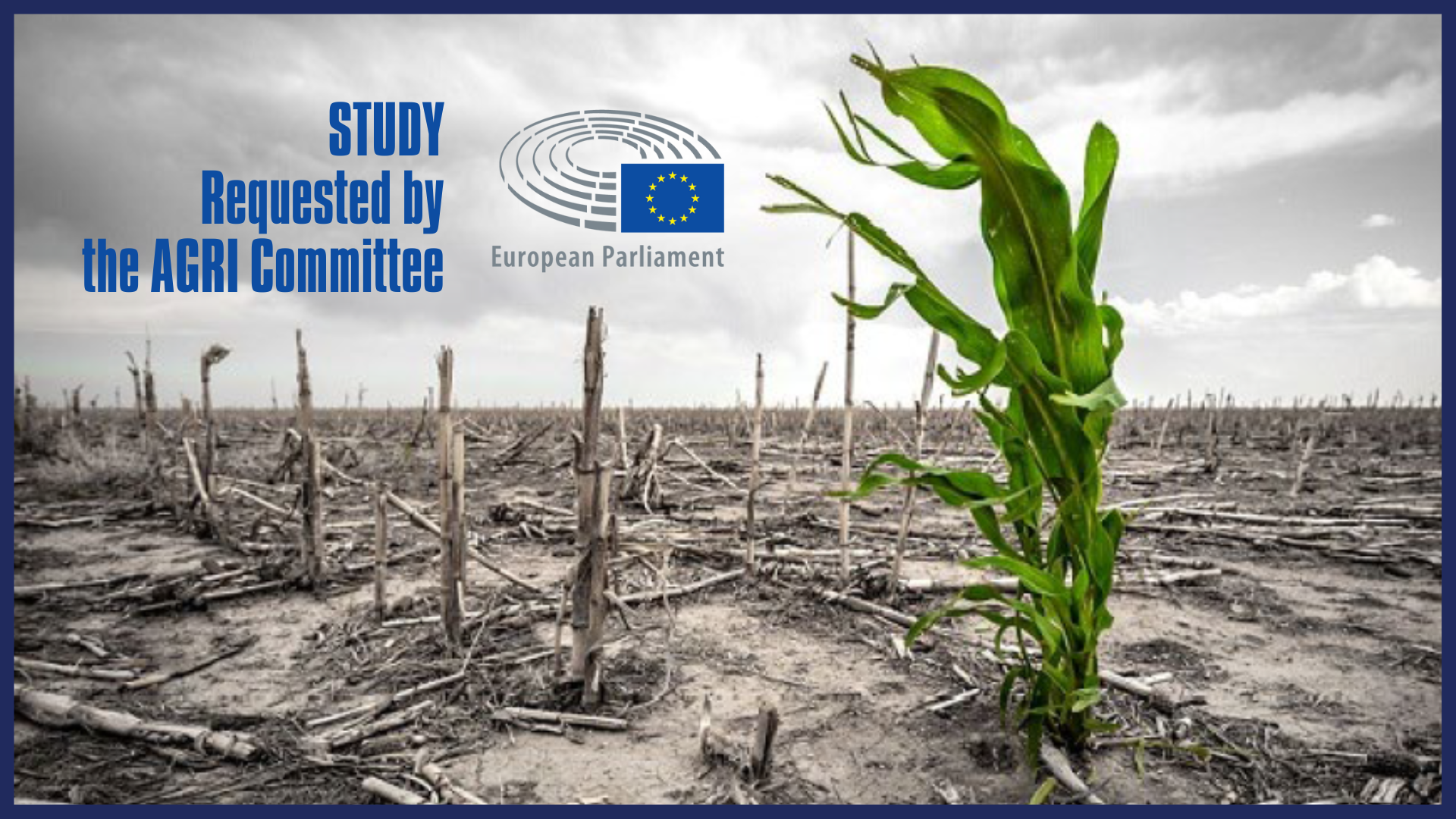 The impact of extreme climate events on agriculture production in the ...