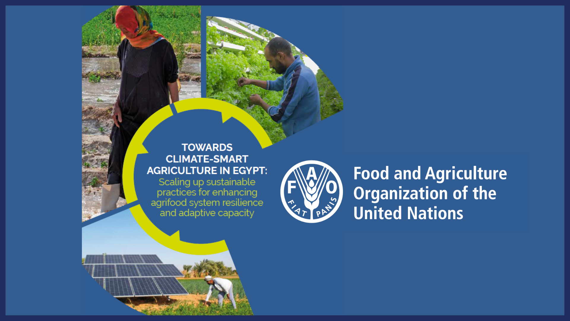 Towards Climate-Smart Agriculture in Egypt - Stargate