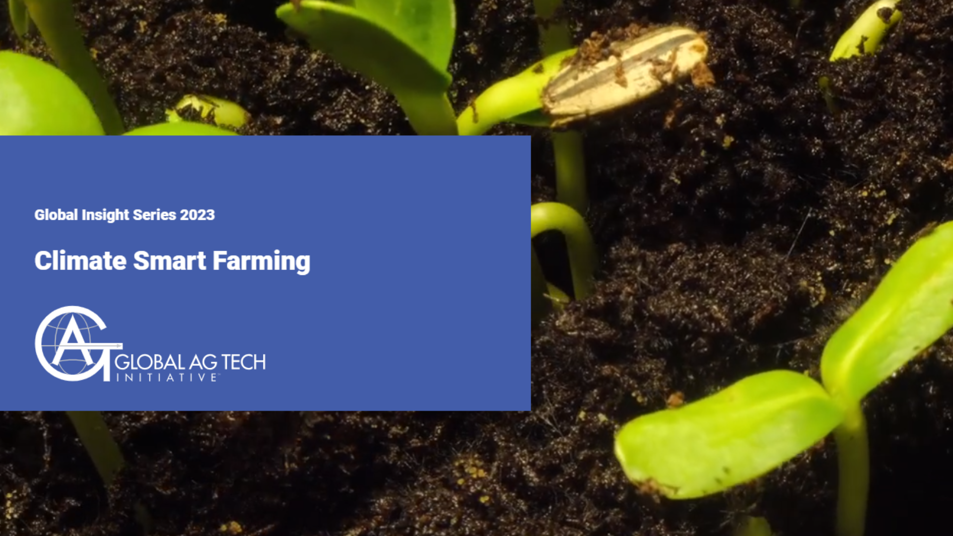 Global Insight Series 2023 - Stargate